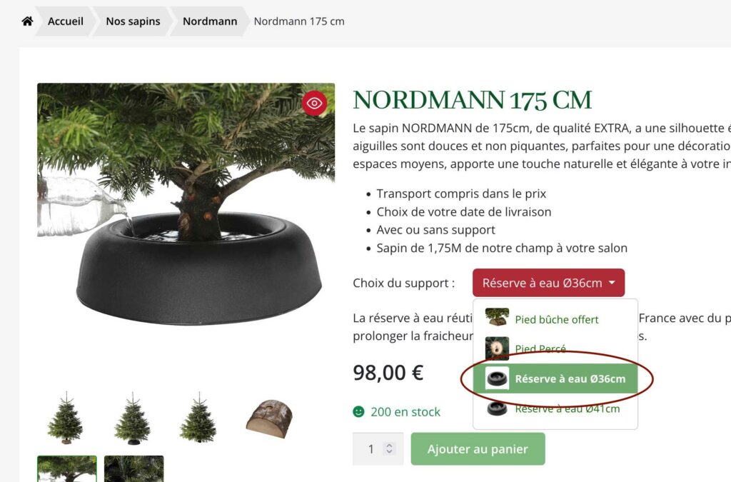 Sapin de Noël frais plus longtemps : pied à eau & conseils | Noël Vert